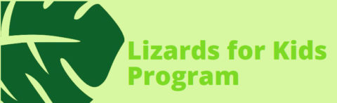 Lizards for Kids and More | To Educate Kids About Lizards